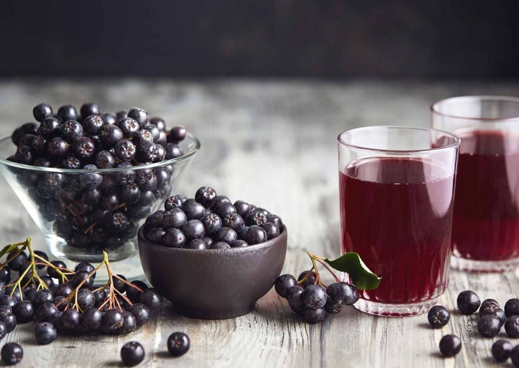 Zoom Sur L Aronia Bienfaits Provenance Consommation Blog Bio Kazidomi