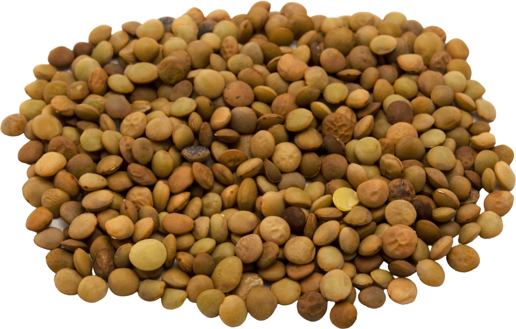 Acheter Lentilles brunes Biologique Sain