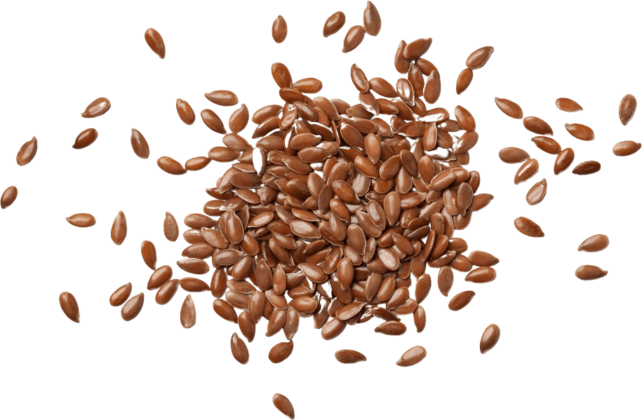 Acheter Graines de lin brunes biologiques