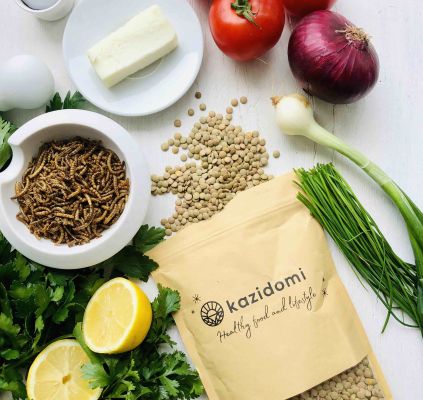 Salade de lentilles aux protéines d'insectes | Recettes healthy, saines ...