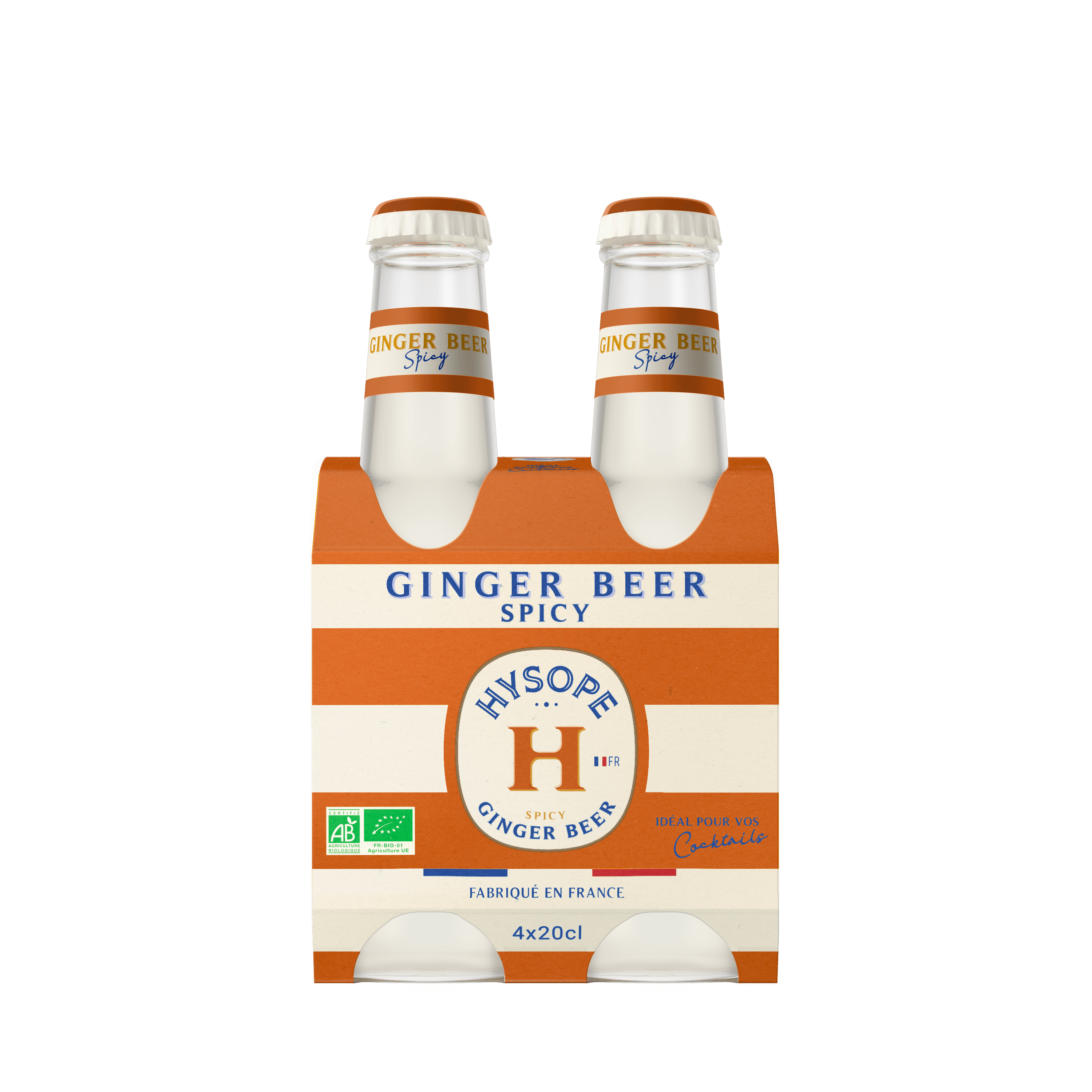 Buy Tonic Ginger Beer on Kazidomi