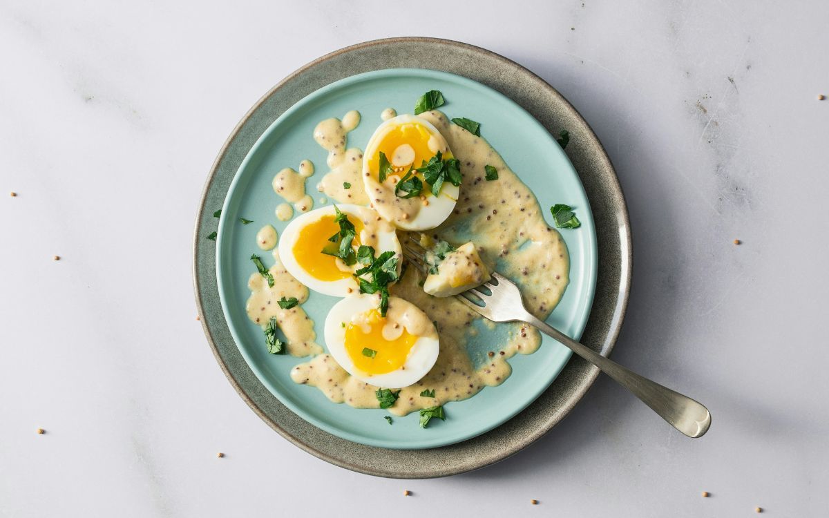 Tout savoir sur l’alimentation low carb | Blog bio Kazidomi