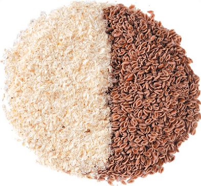 À quoi sert le psyllium et comment le prendre sans danger